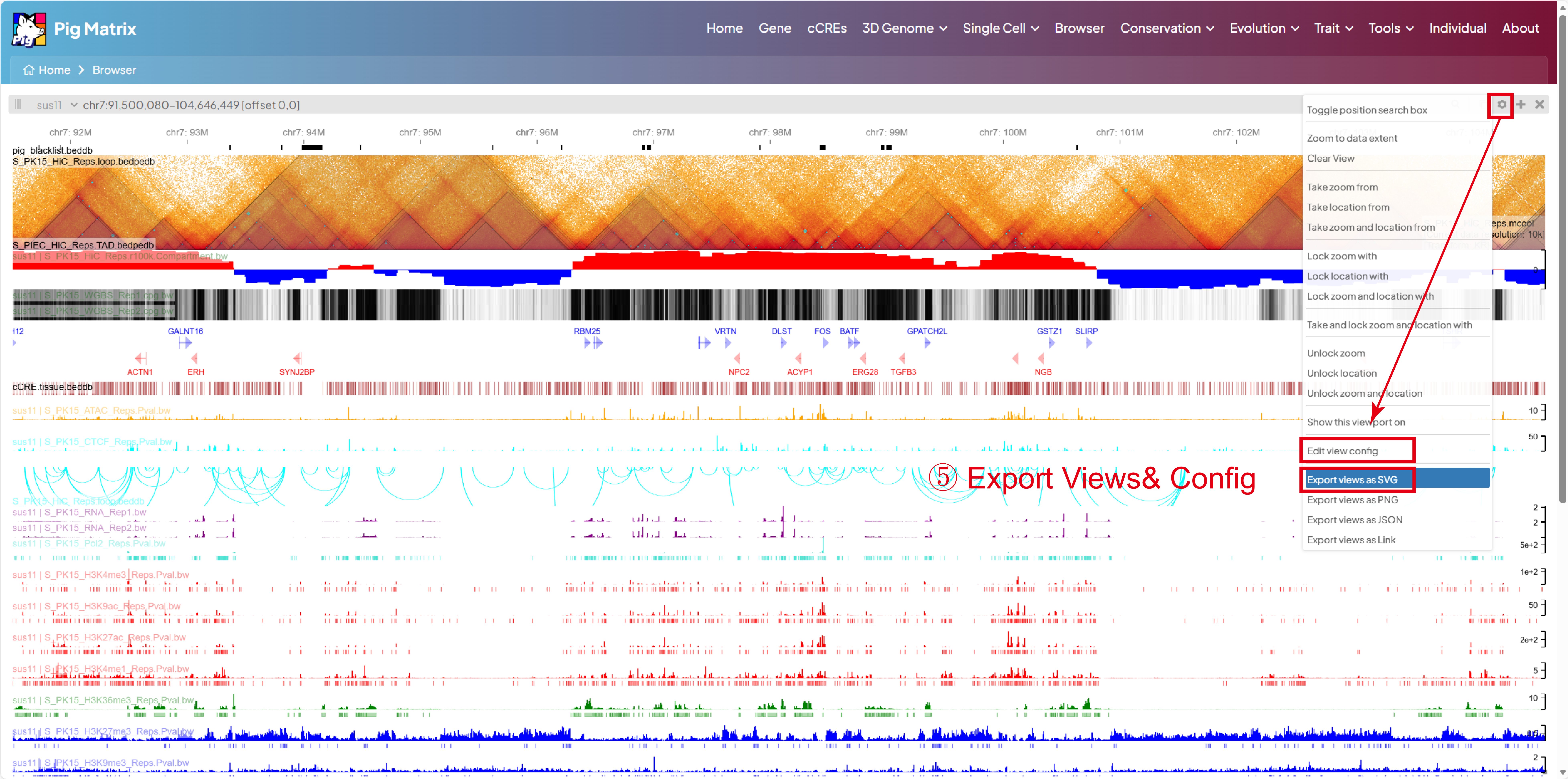 Gene Browser - Pig Matrix